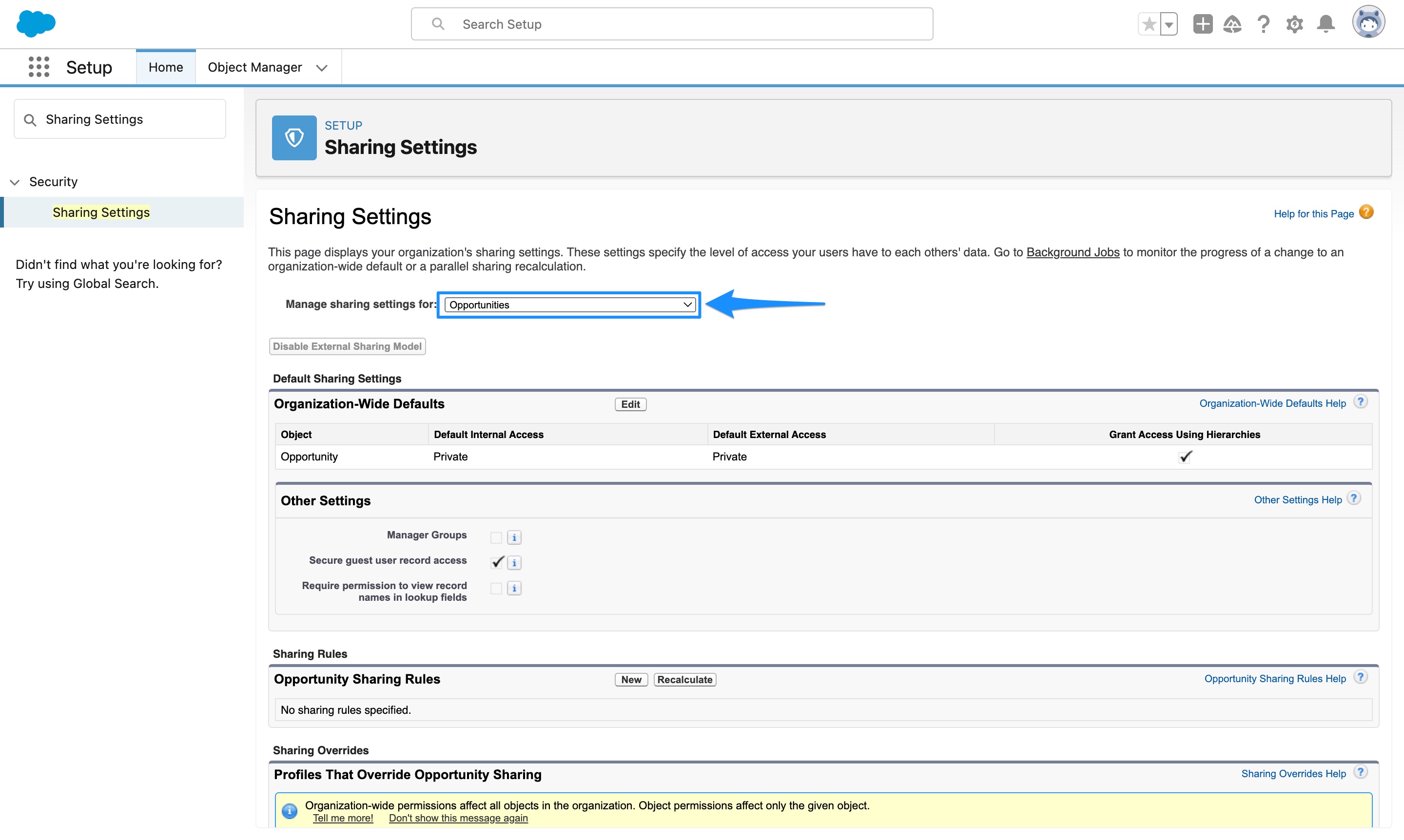 How to Restrict Data Visibility for Specific Users Using Salesforce ...