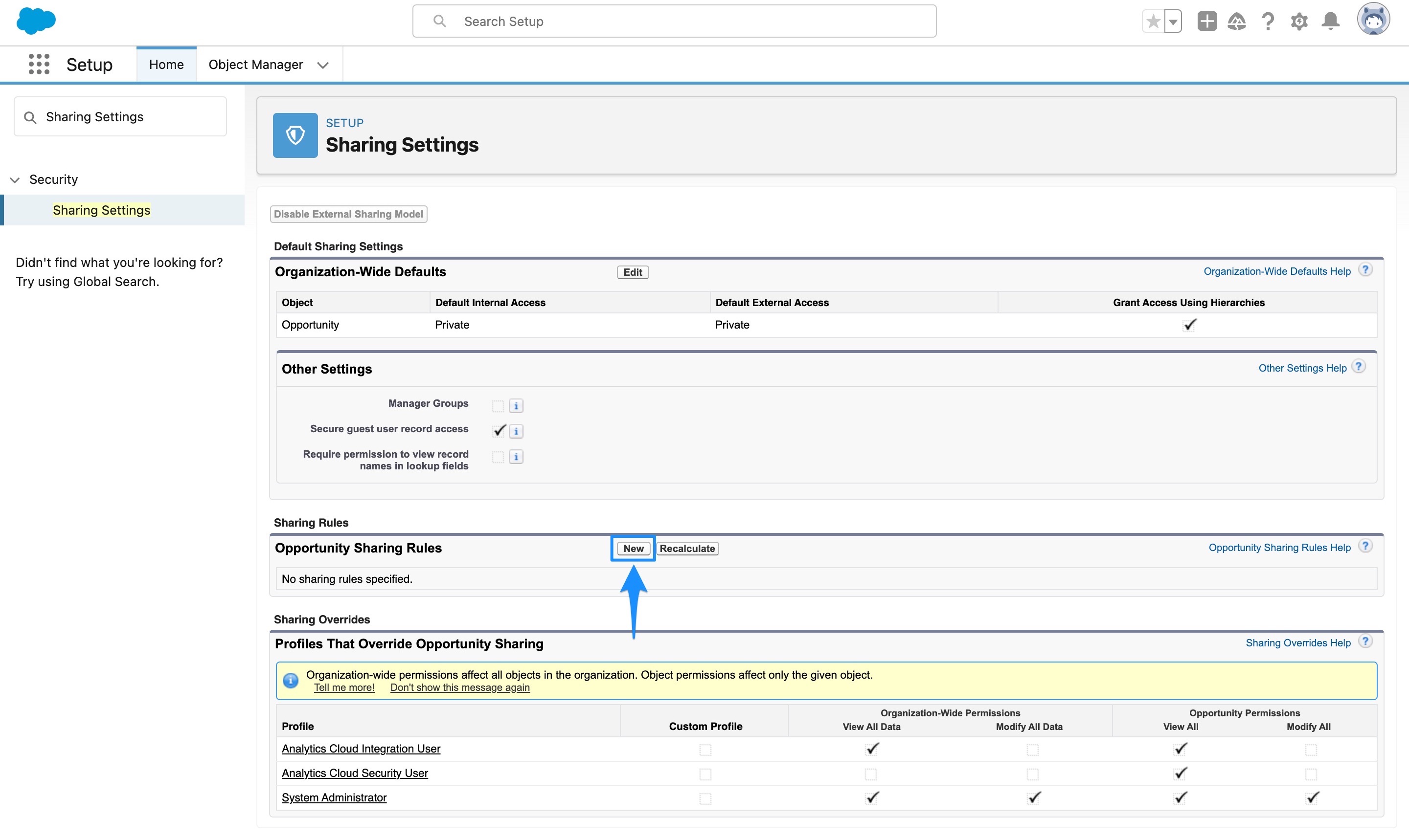 How to Restrict Data Visibility for Specific Users Using Salesforce Sharing Rules