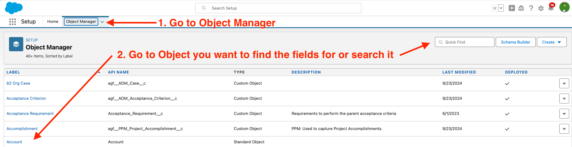 How to find a field name and API name in Salesforce